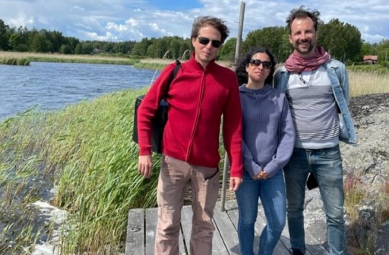 NetworkNature Nordic hub | NetworkNature NetworkNature Nordic hub | NetworkNature